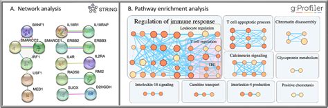 Eosinophil Counts Pathway And Network Analysis A Physical Download Scientific Diagram