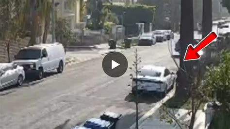 A California Woman Slammed Her Suv Into An Alleged Burglars Car After