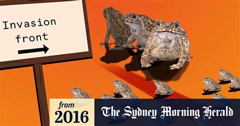 Video Surviving The Cane Toad Invasion