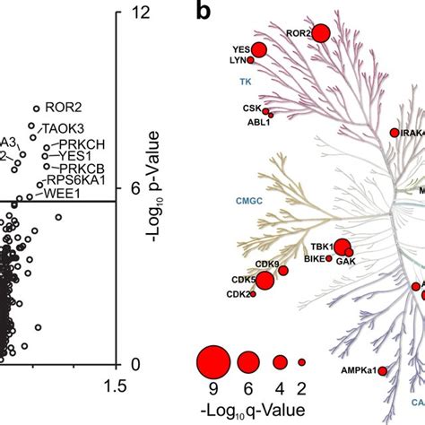 Concept And Application Of The Isothermal Shift Assay Itsa Method A