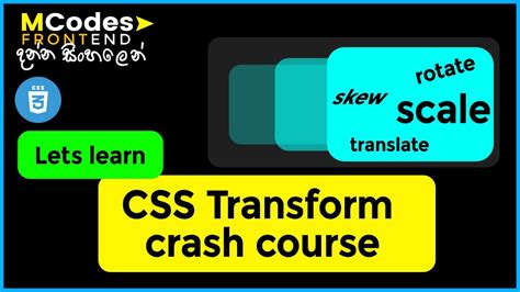 Learn Css Transform Rotate Scale Translate And Skew In Sinhala