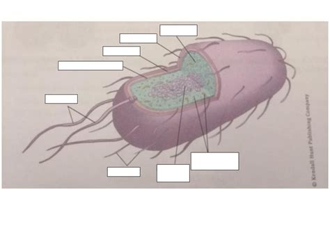 Mmi 133 Quiz 1 Diagram Quizlet