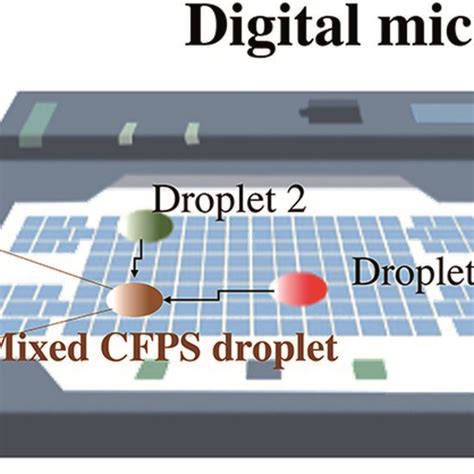 Cell Free Protein Expression Using Dmf Technology A Schematic Download Scientific Diagram