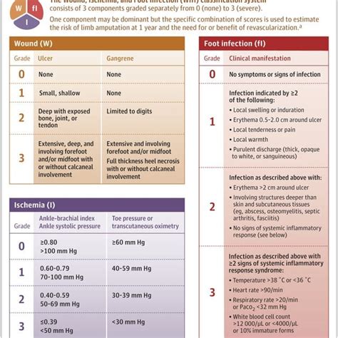 Pdf Diabetic Foot Ulcers A Review