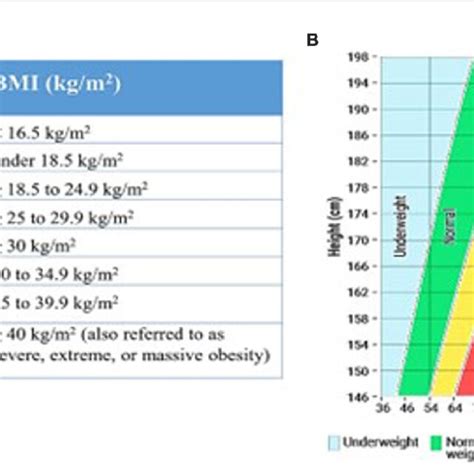 Bmi Ranges According To The National Institute Of Health Nih And Download Scientific Diagram