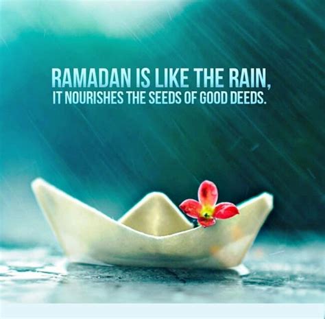 Islamic Quotes For Ramadan At Phoebe Fitzgibbons Blog