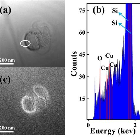 A Tem Image Of A Typical Oxygen Precipitate With Cu Decoration Resulted