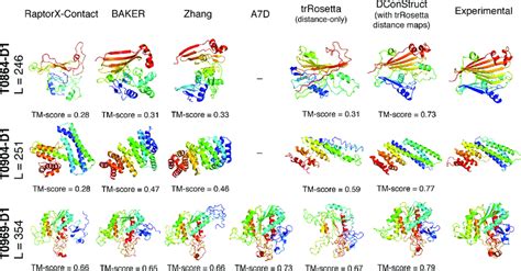 Ribbon Diagrams Of 3d Models For The Three Casp Fm Large Targets