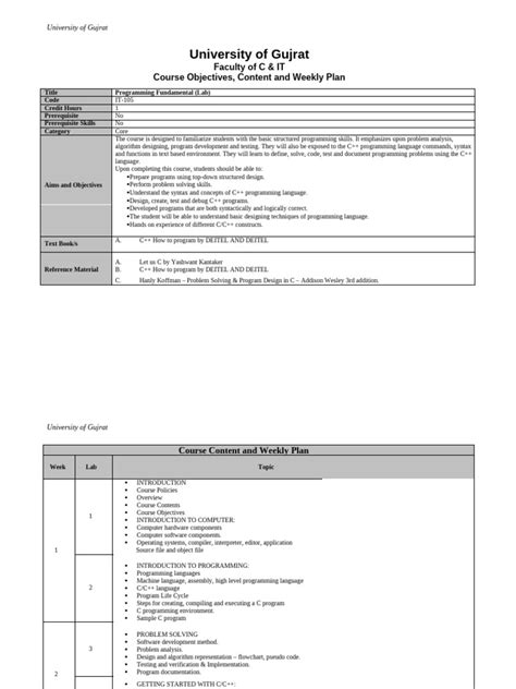 Programming Fundamental Lab It 105 Pdf Computer Programming C