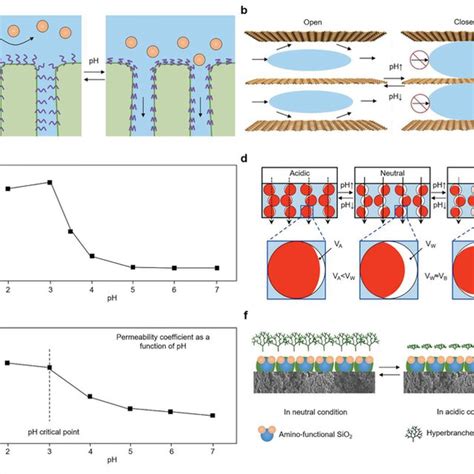 Wettability Switching Of The Light‐responsive Membrane A Schematic