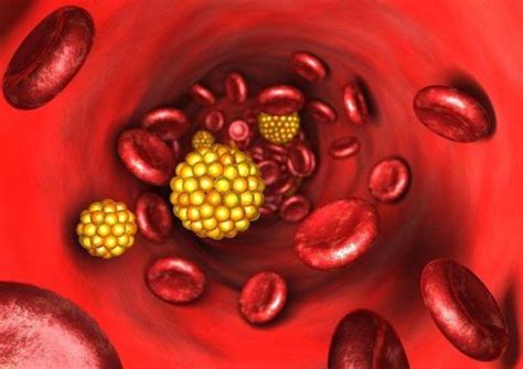 Tăng Triglycerid Máu Có Tính Chất Gia đình
