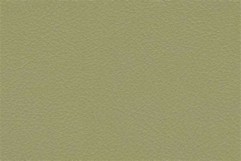 Ofs Evolution Genotype