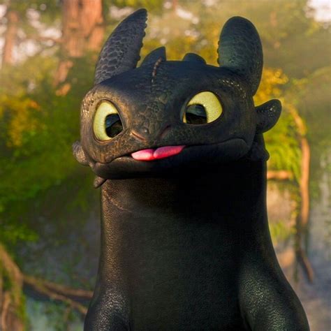 Pin De ︎𝑙𝑖𝑎𝑛 𝐴ℎ𝑚𝑒𝑑 ︎ En ☠︎︎☠︎︎ Entrenando A Tu Dragon Dragones Gato