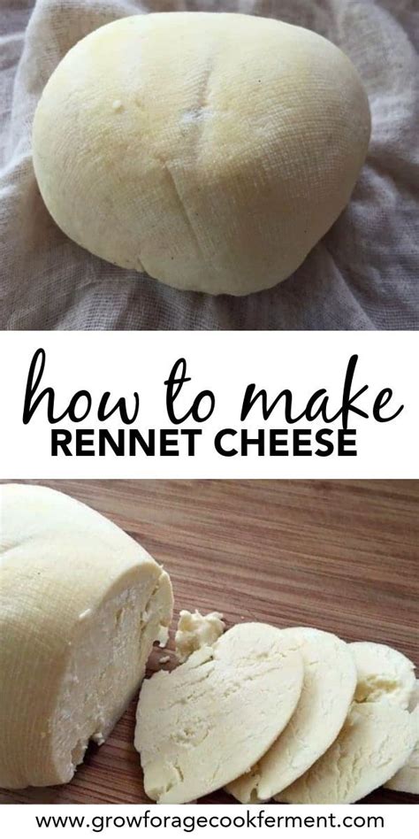 Simple Rennet Cheese Artofit