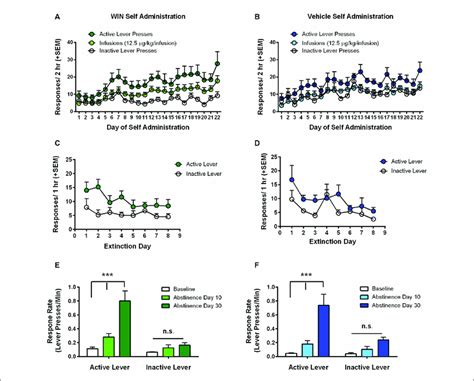 Adolescent Self Administration Behaviors A Rats Self Administering