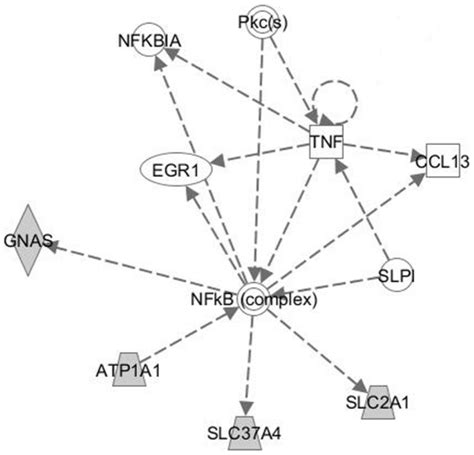 Signalling Pathway Links Were Generated Through The Use Of Ingenuity Download Scientific