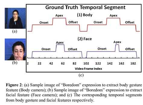 The Temporal Segments Of The Expression Of Happiness Download