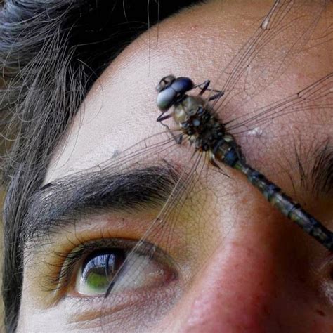 Lisandro Solis Youtube