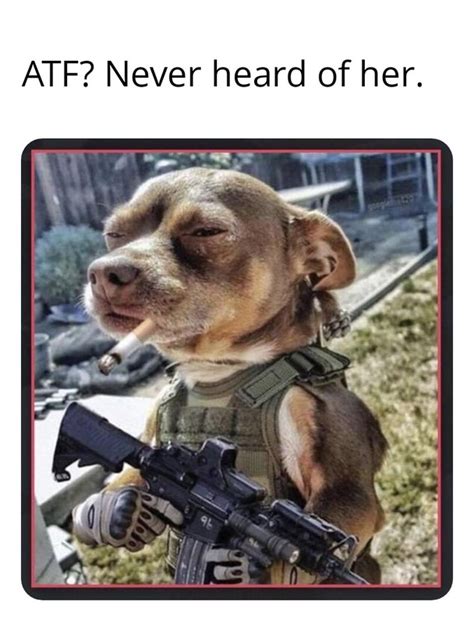 Post Some Memes General Discussion Ar15com
