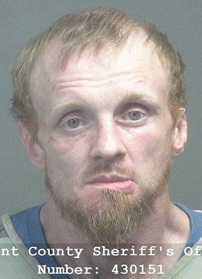 Alcoa K9 Apprehends Suspect News