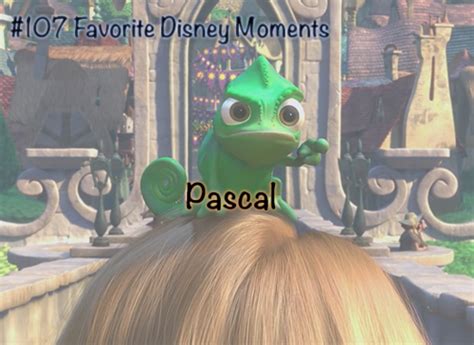 Pascal Tangled Memes
