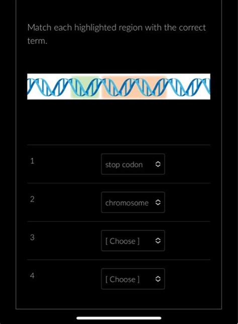 Match Each Highlighted Region With The Correct Term