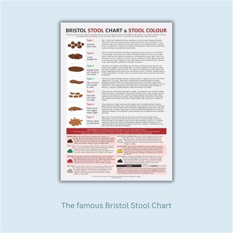 Bristol Stool Chart Plus Record Sheet Stool Health Pdf Download Etsy