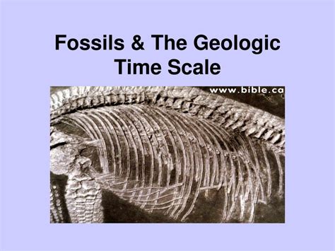 Ppt Fossils And The Geologic Time Scale Powerpoint Presentation Id 2623329