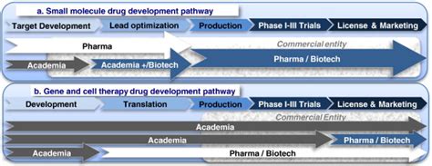A Small Molecule Drug Development Pathway B Gene And Cell Therapy