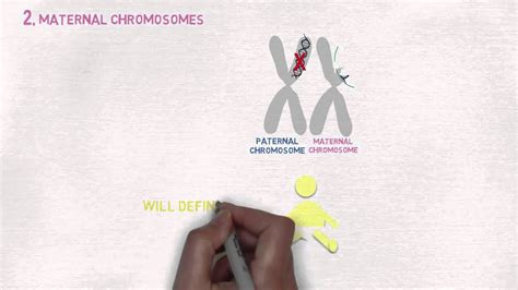 What Is Focal Congenital Hyperinsulinism Chi Youtube