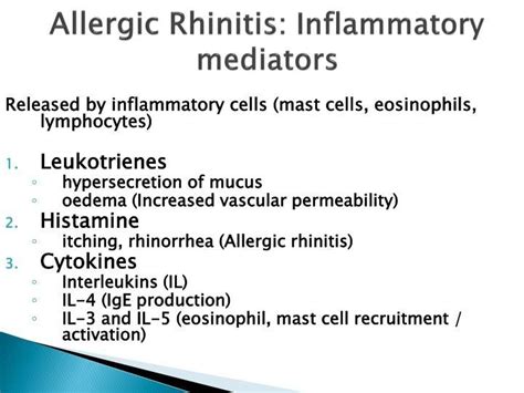 Allergies Rhinitis Allergic Rhinitis Mucus Allergies