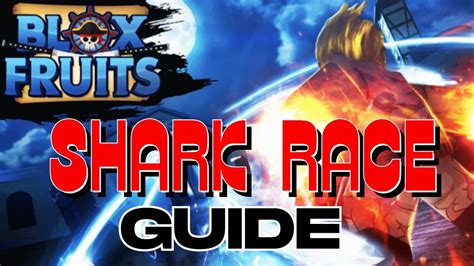 Shark Race Guide Blox Fruits For Beginners Youtube