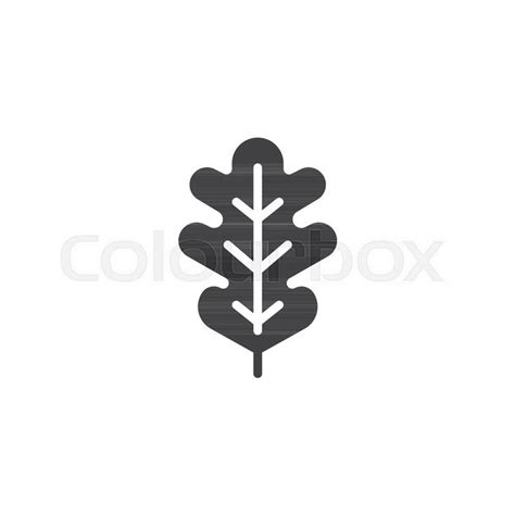 Oak Leaf Vector Icon