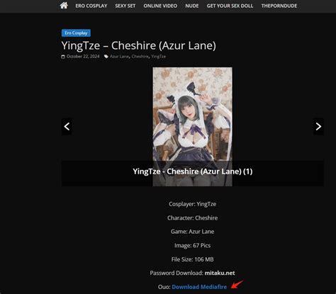 如何从 Mitaku 下载 Cosplay 图片？ Imaget