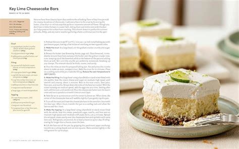 Sallys Baking 101 Foolproof Recipes From Easy To Advanced Formato