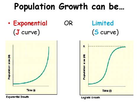 Stages Of Population Growth Population Growth Can Be