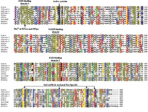 Figure 1 From Characterization Of An Nadh Oxidase Of The Flavin