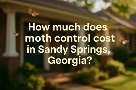 Moth Control Cost Sandy Springs Treatment And Prevention