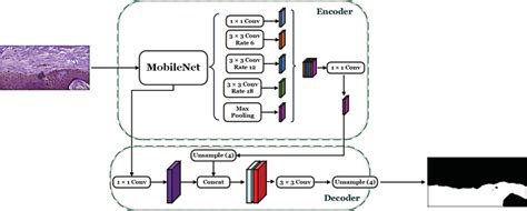 deeplabv3 model with mobilenet as a backbone network download