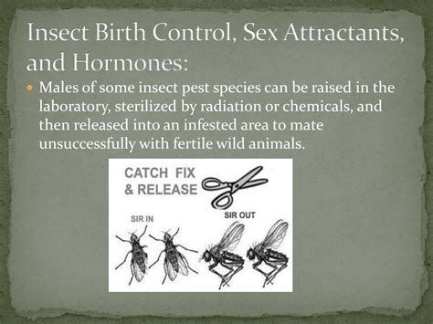 Ppt Chapter 20 Pesticides And Pest Control Powerpoint Presentation