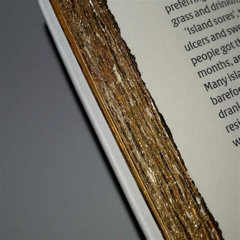 The Island Geert Mak Fully Gilded Deckle Edge And Design Binding By