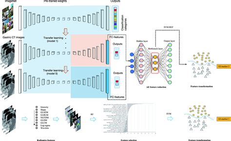 Flowchart Of Integrated Dtl And Rml For The Construction Of Two New Download Scientific Diagram
