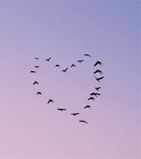 Dpz For Everyone Save