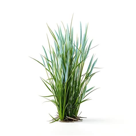 Premium Ai Image Shelter Switchgrass Bluegreen A Mini Bouquet High