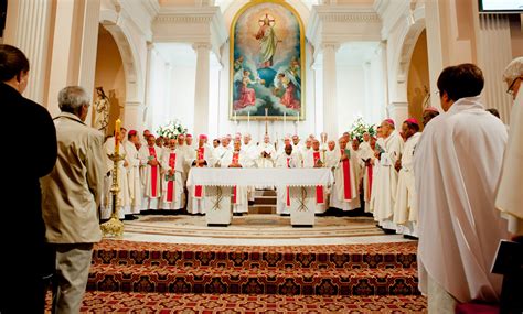 Bishops Opening Mass Unforgettable Archdiocese Of Wellington