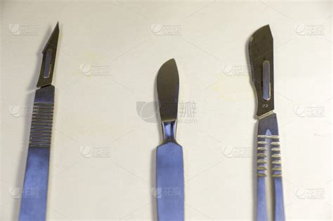 解剖工具 手术刀。优质的不锈钢工具为医学学生解剖，生物学，兽医，海洋生物学与解剖刀刀片包括解剖青蛙。