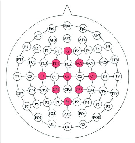 Electrode Configuration Considered Download Scientific Diagram