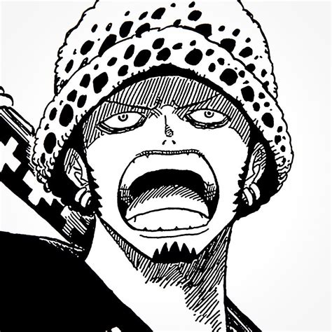 Law One Piece Manga Gato Com Oculos Amor Da Minha Vida Desenho