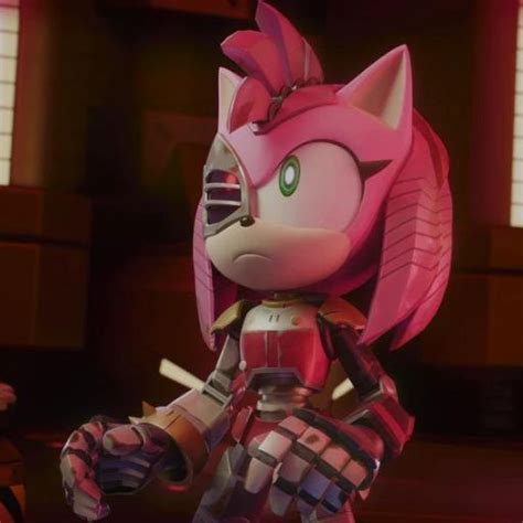 Rusty Rose Amy Rose Rusty Rose Character