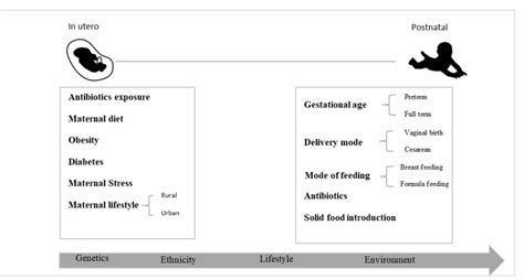 Figure 1 From Metagenomics Approaches To Investigate The Neonatal Gut